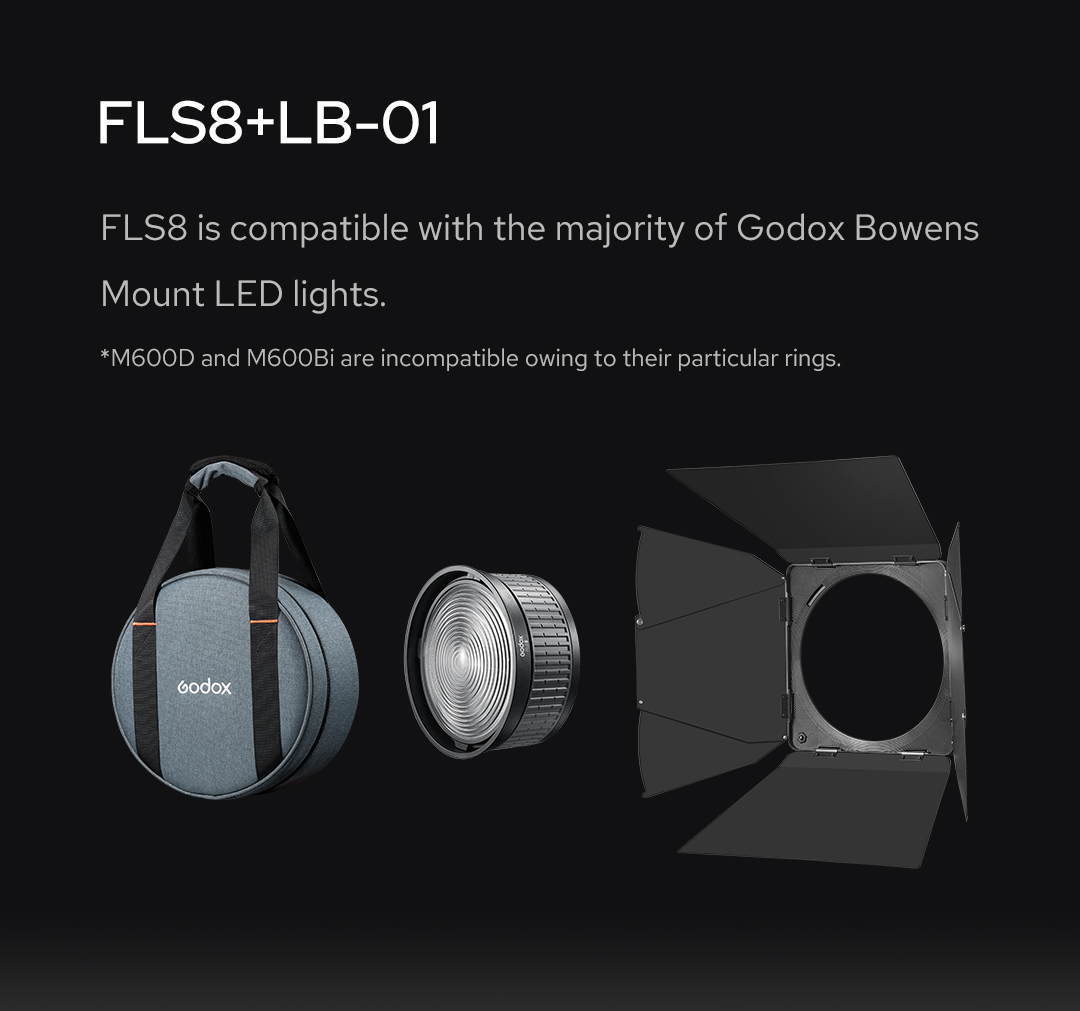 Godox Fresnel Lens System FLS8 Focusable Optical Accessory Bowens mount with LB-01Barndoor ...