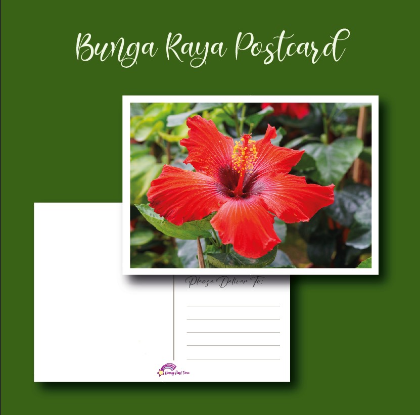 Bunga Raya Postcard / Hibiscus / Poskad / Postcrossing | Shopee Malaysia