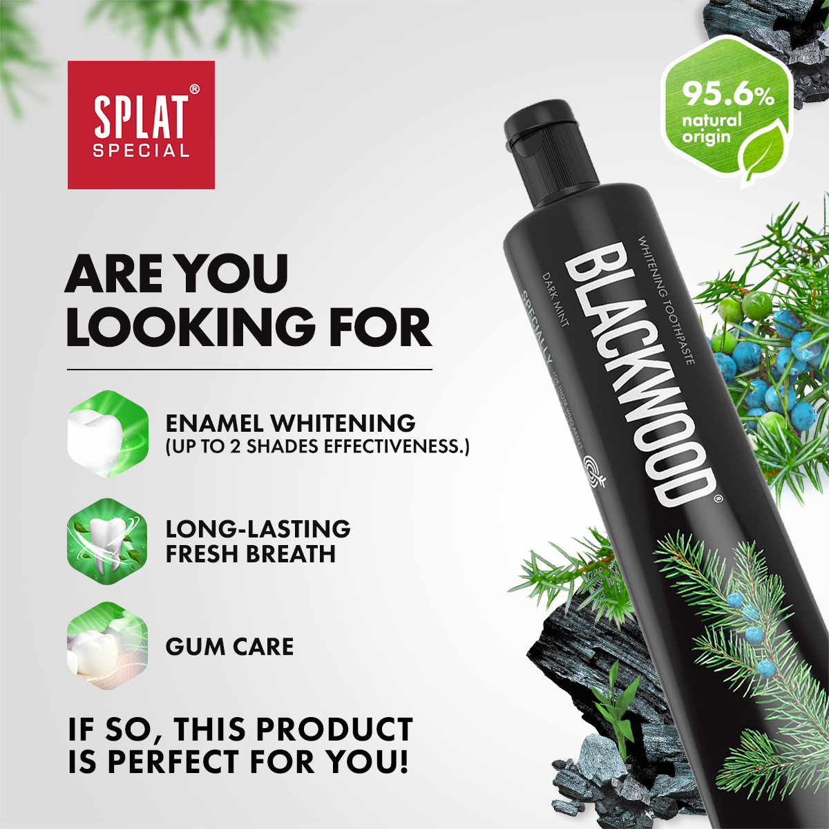 SPLAT Special Blackwood Toothpaste [20ml] | Shopee Malaysia