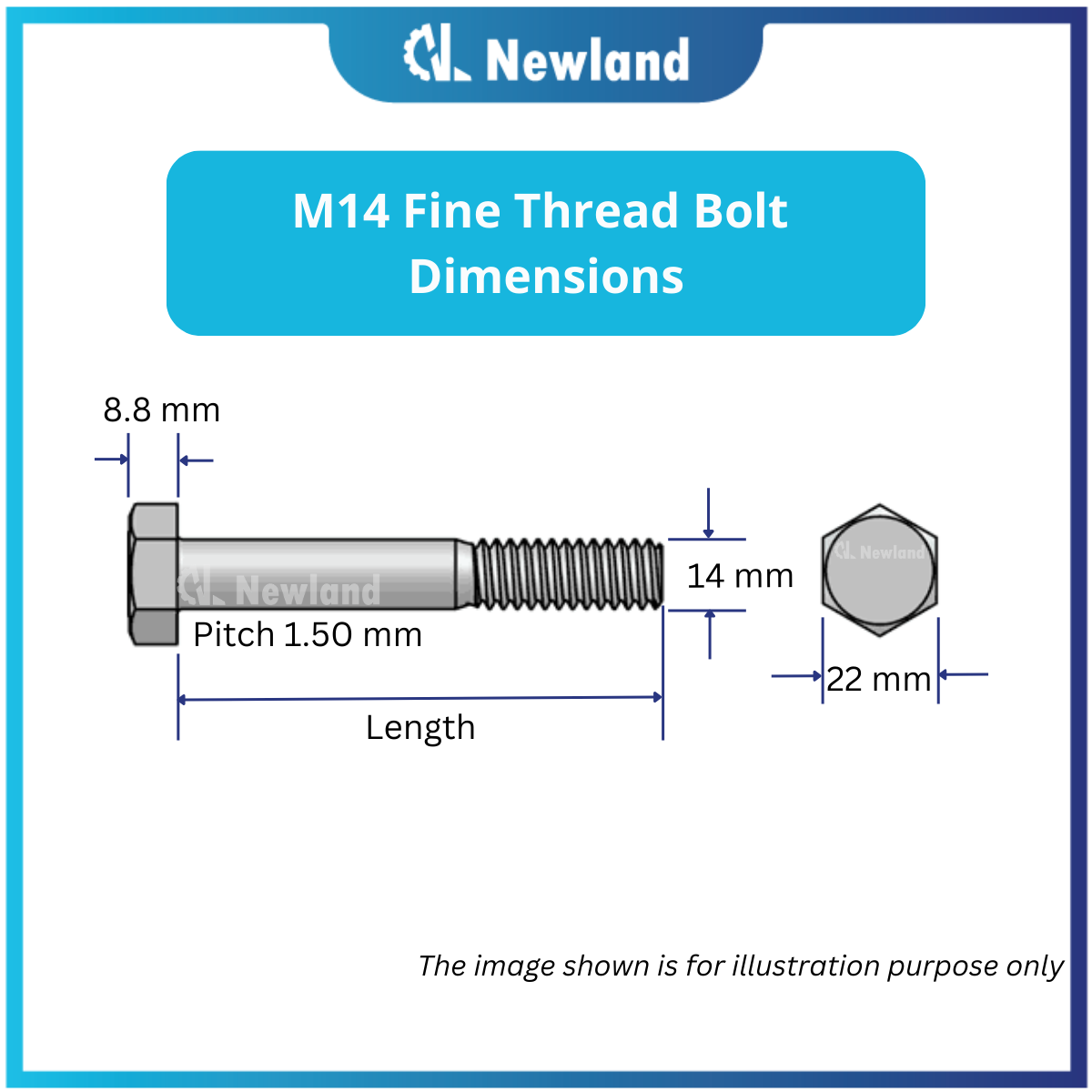 Newland M14 Fine Thread Bolt and Nuts / Plain Washer / Spring Washer ...