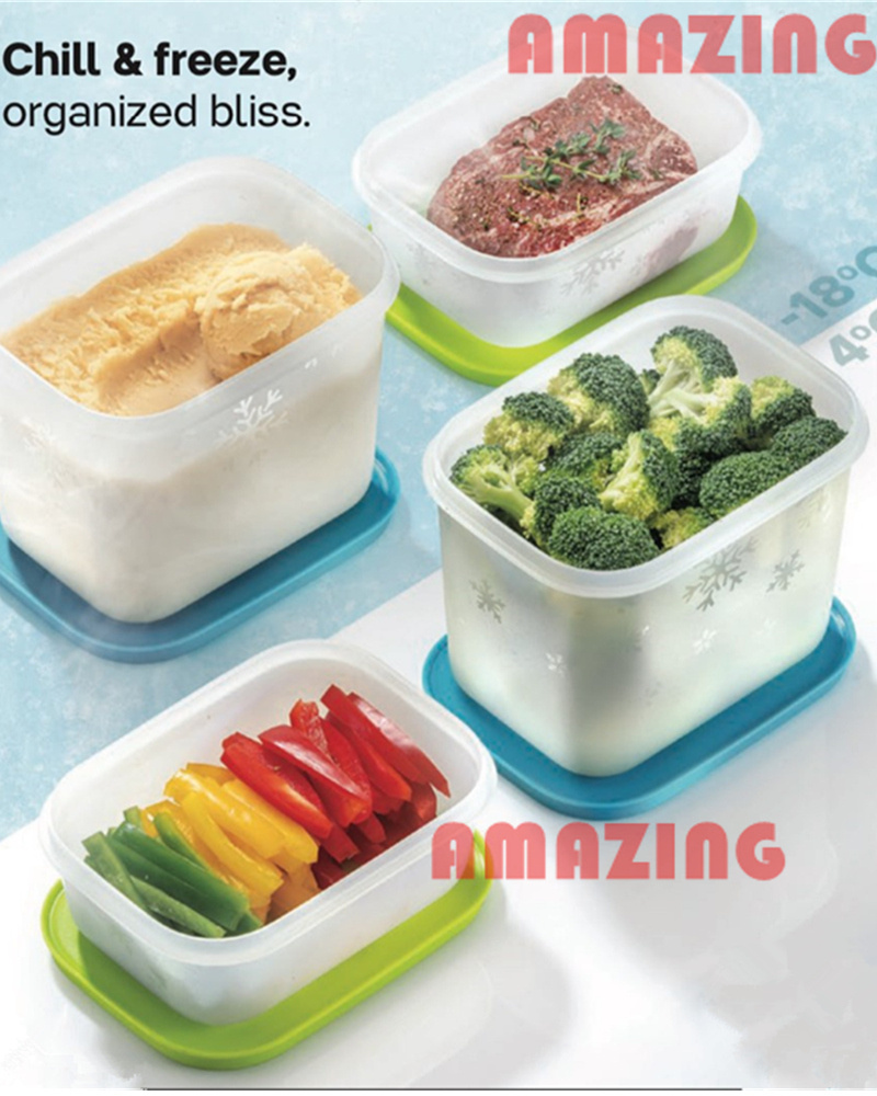 Tupperware Chill-Freez Series/ Chill Freez Set/ Food storage Box/ Sea ...