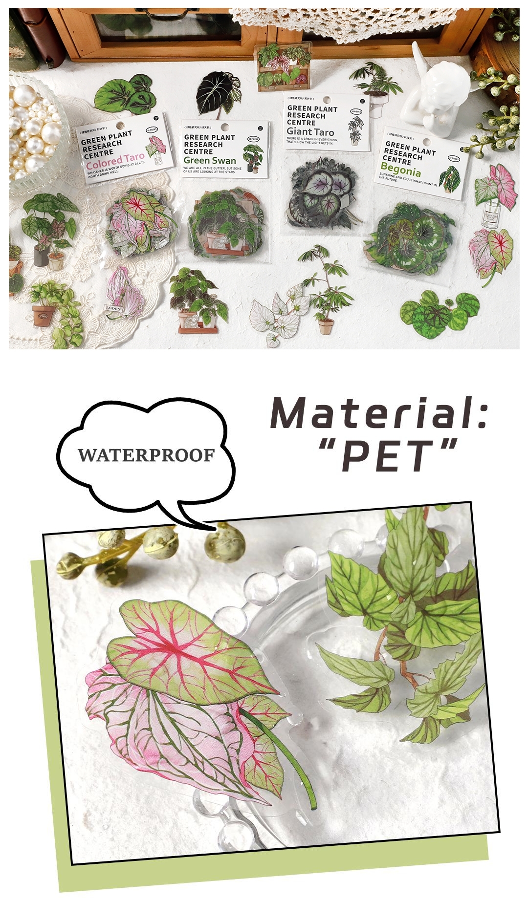 IFM INS Green Plant Research Centre Series Deco Stickers Botanical ...
