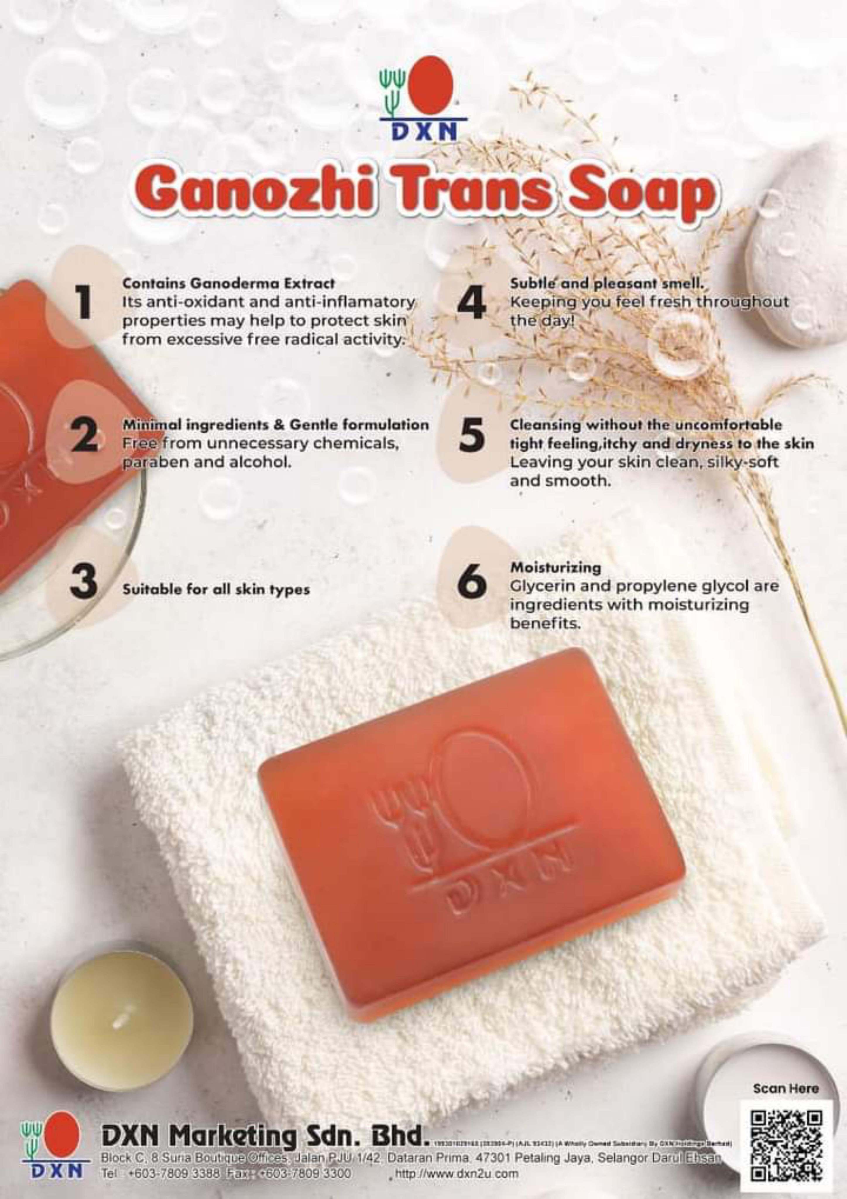 PC073DXN Ganozhi Trans Soap & Oocha Trans Soap1 bar x 120g | Shopee ...