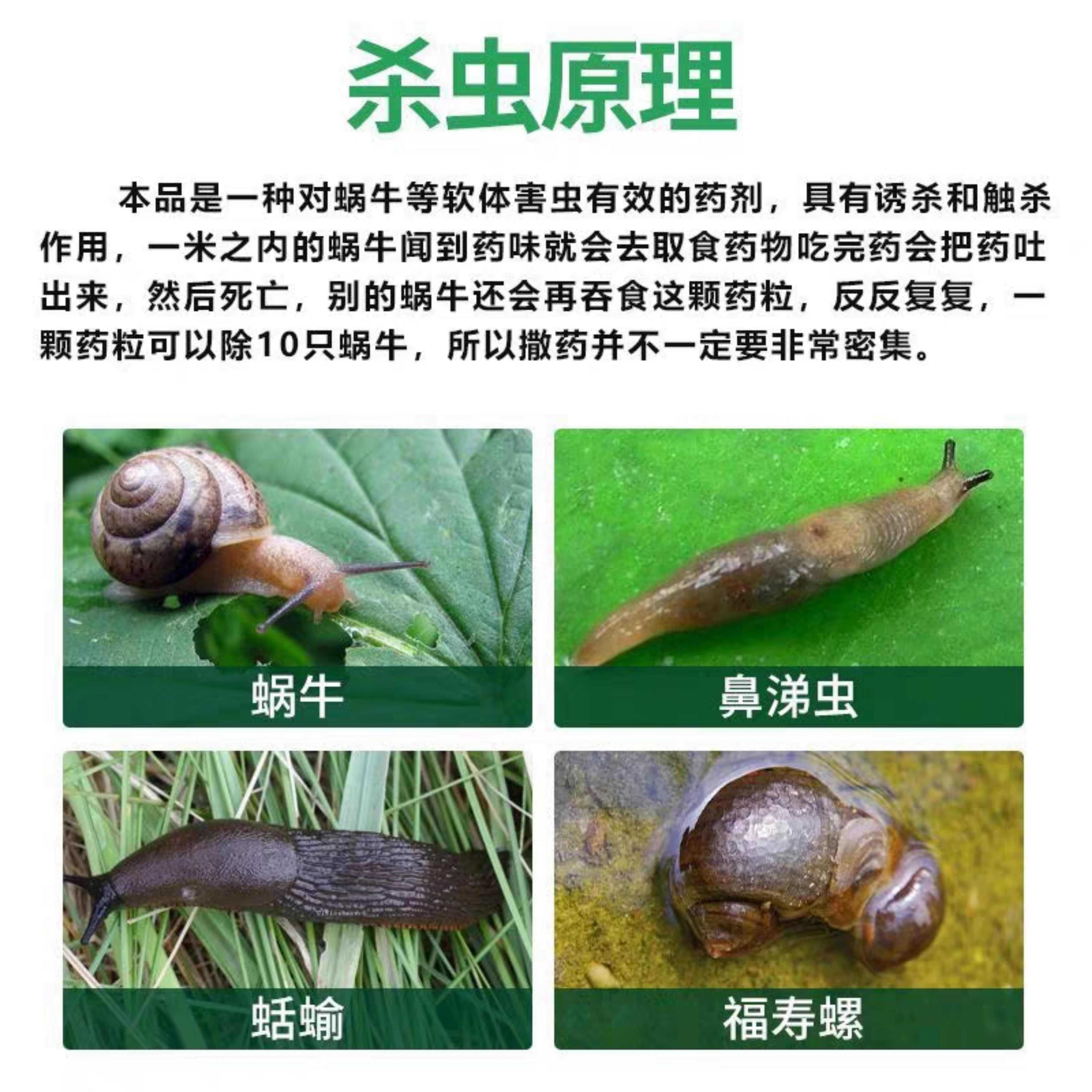 🐌200g🐌Ubat Hapus Siput Babi 蜗牛药 | Shopee Malaysia