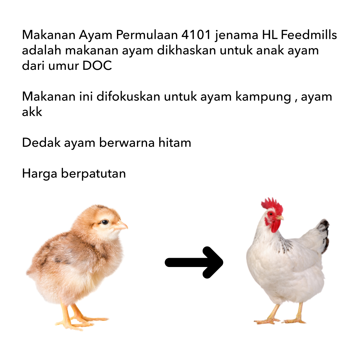 [25KG] [4101] Dedak Makanan Ayam Halus Berkualiti Tinggi [HITAM]/ Dedak ...