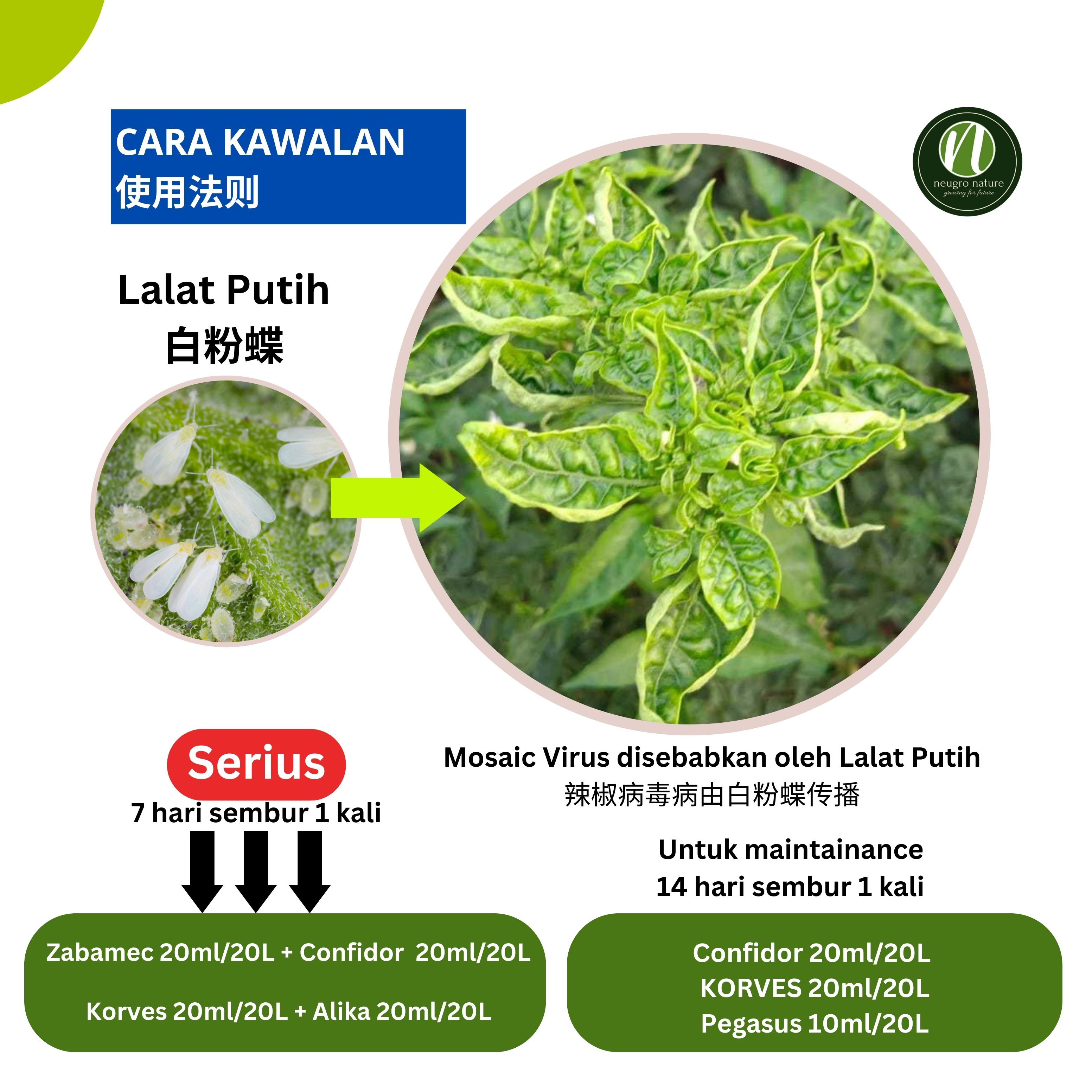 Bayer Confidor 500ml Imidacloprid 17.8% Racun Serangga Lalat Putih/Kutu ...