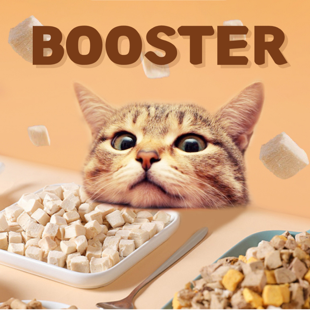 PET Booster Gemuk Gemok Freeze Dried Chicken Salmon Fish Krill Pet ...