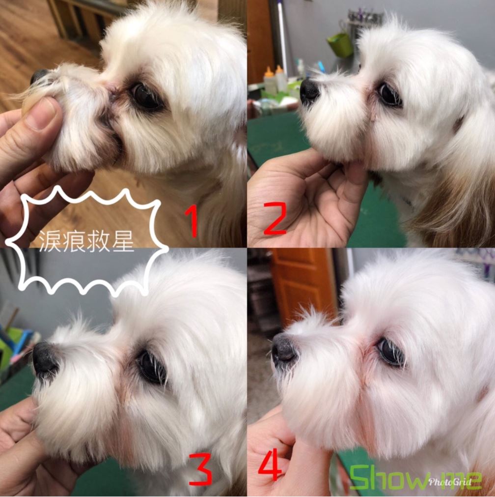 SMP Eye Vita Oral Tear Stain Supplement For Dogs & Cats 30ml 口服泪痕液 ...