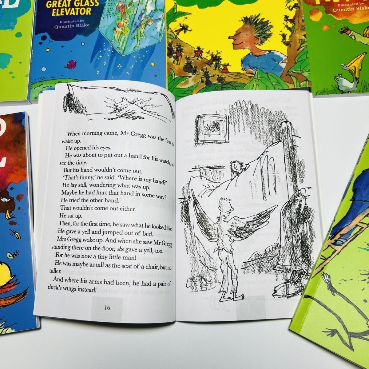 【Roald Dahl】【20 books 】🔥🔥 Roald Dahl Collection 20 books hard case set ...