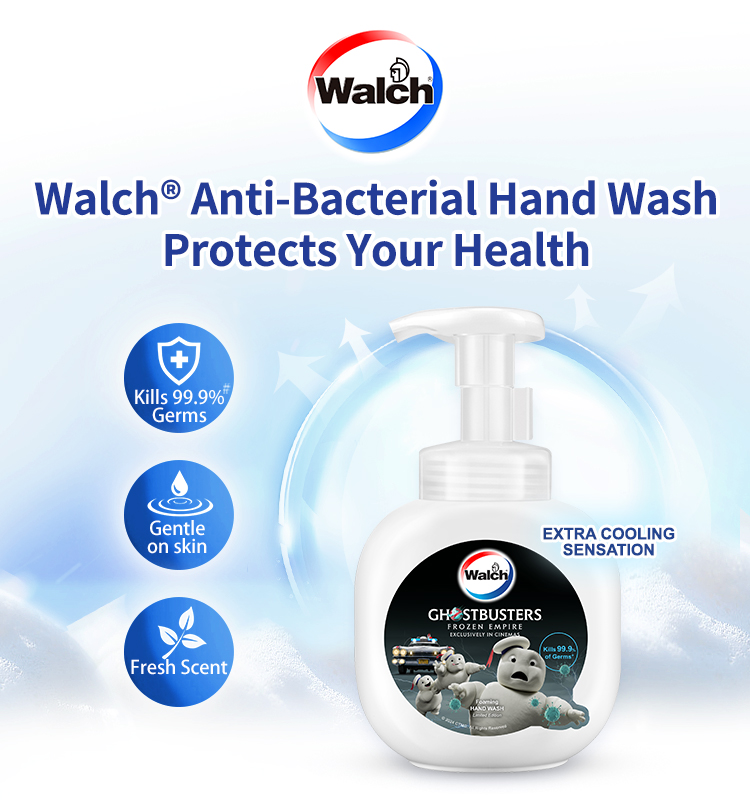 Walch Foaming Hand Wash Frozen Ice 290ml - Limited Edition | Shopee ...