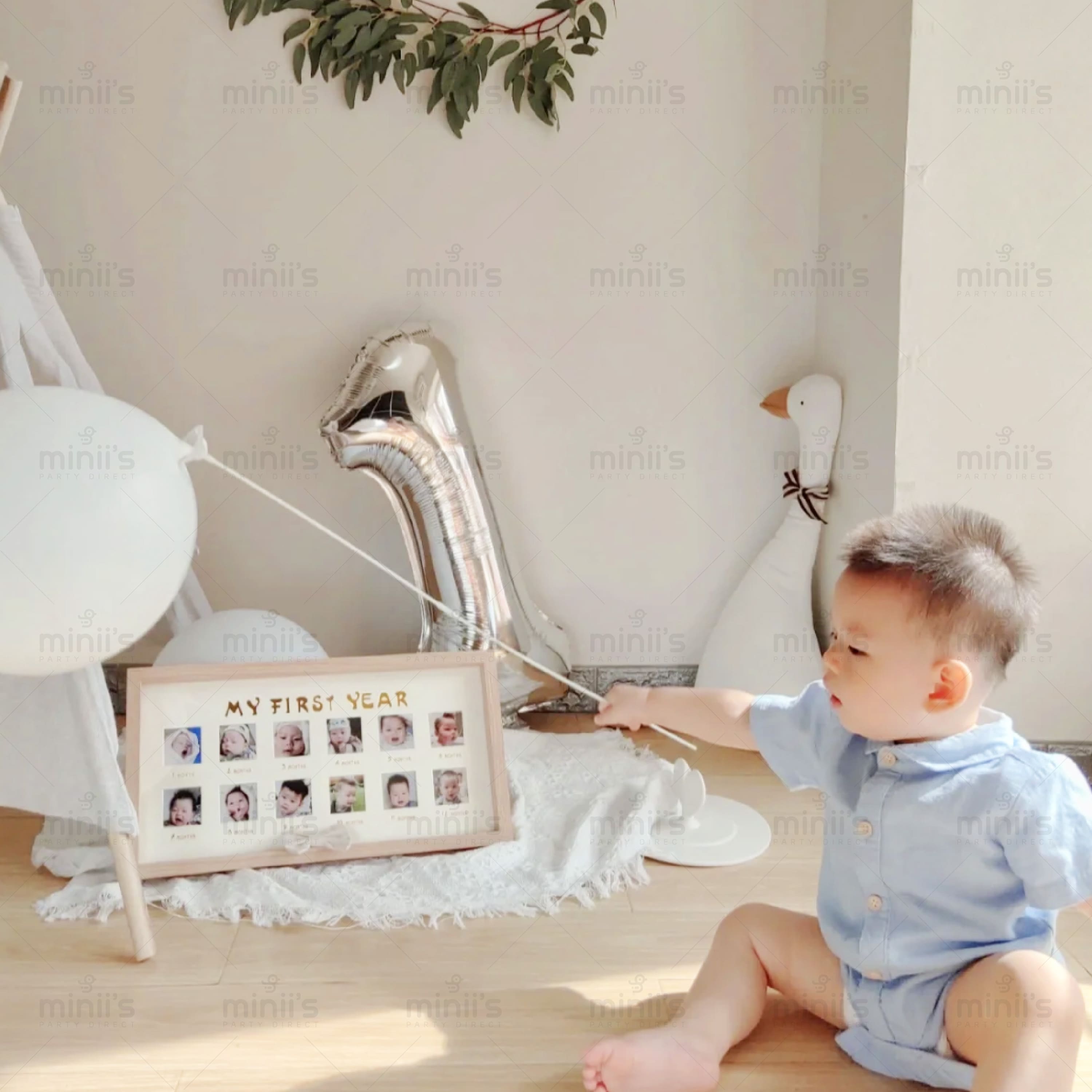 MINIIS PARTY My First Year Photo Frame 宝宝相框 Baby First Year Photo Frame ...