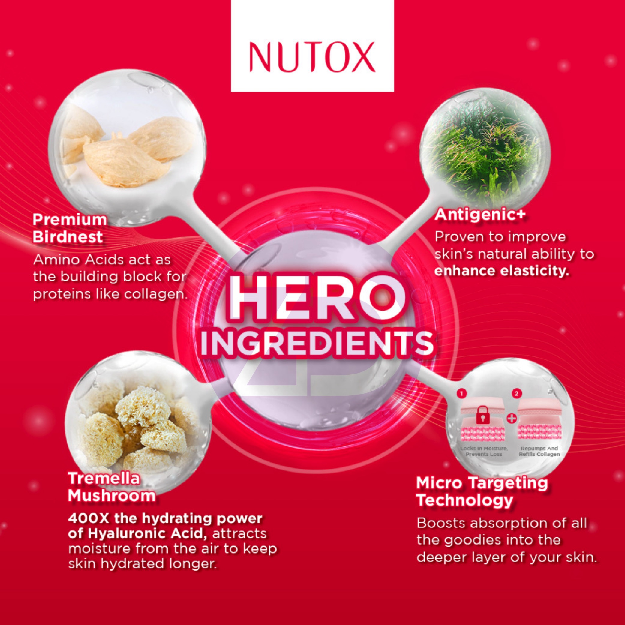 [NEW] Nutox Youth Restoring Treatment Lotion 150ml/Cleansing Gel 150ml ...