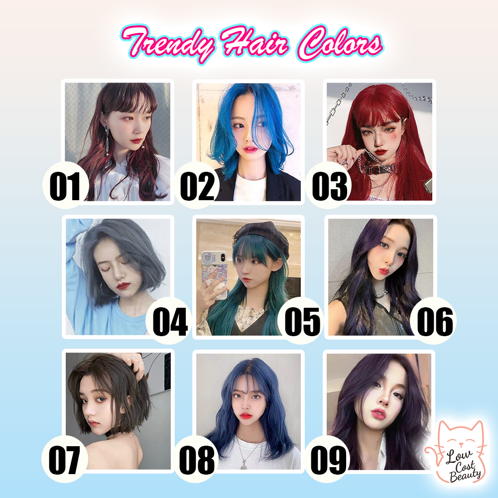 SHOUPIN 500ml Dye rambut pewarna PEWARNA RAMBUT HAIR DYE COLOUR 100ml ...