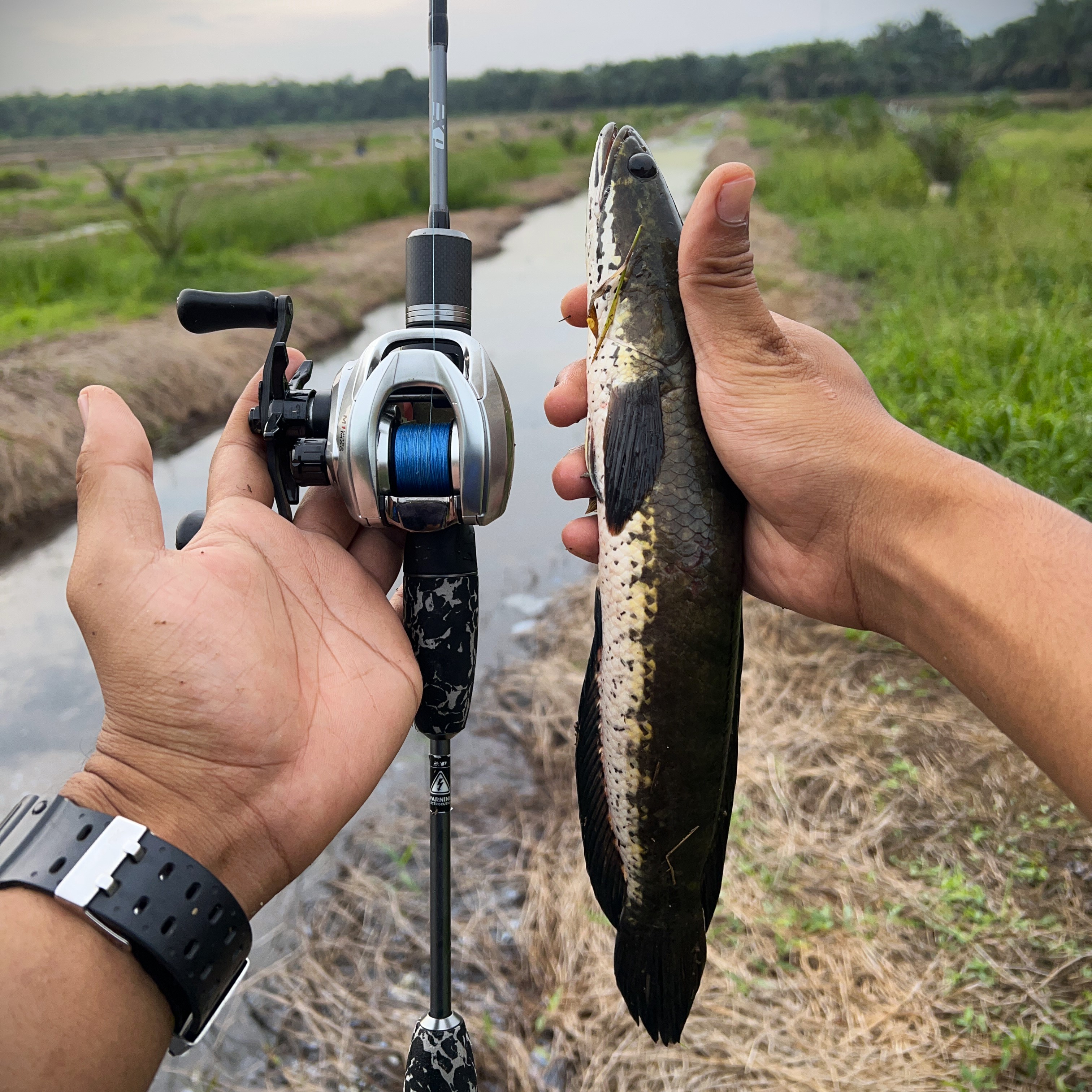 EXP VAPOR ROD 2 PCS Ultra Light Fishing Rod UL Weight Bait Casting BC ...