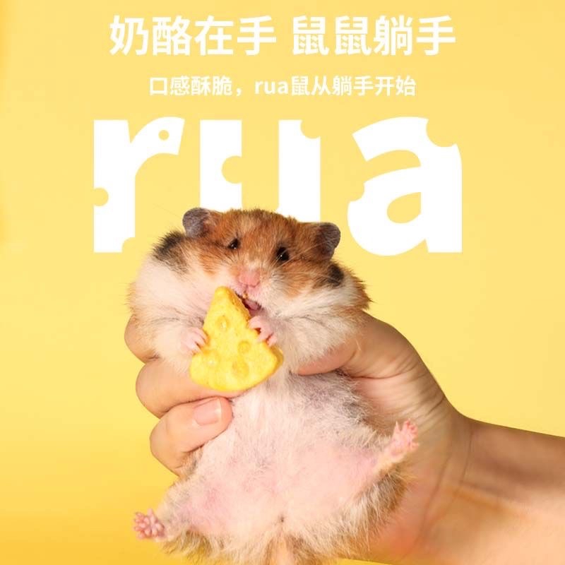 bucatstate cheese dried freeze hamster snack仓鼠零食冻干奶酪 small corner ...