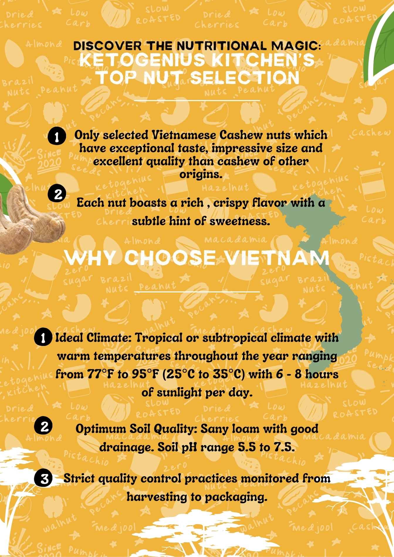 Ketogenius Kitchen Unsalted Slow Roasted Cashew (110g/250g/500g)- Healthy Snacks, Roasted Upon ...