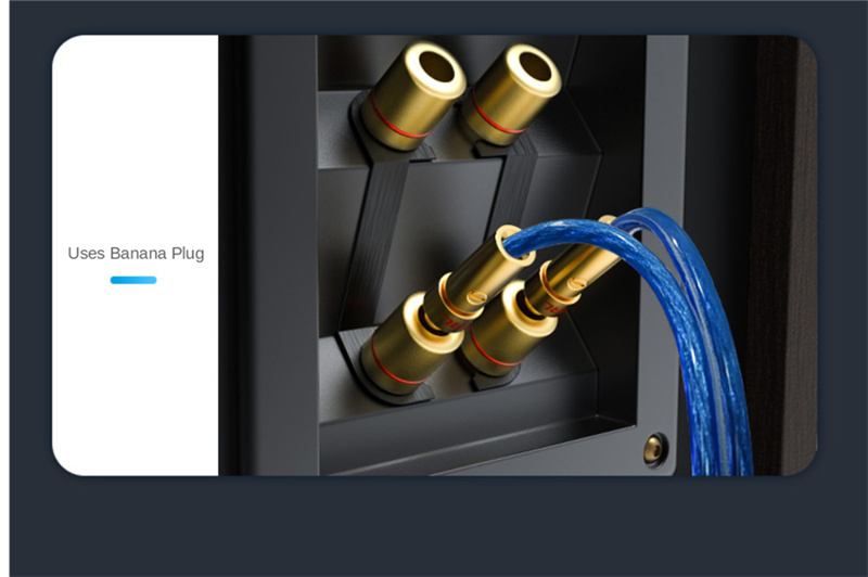 Choseal Kable Wayer Speaker Cable Pure Copper with Nerve Wire Enhance ...