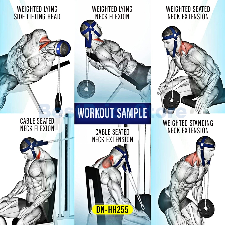 3H Fitness Head Neck Harness For Weightlifting Fitness Belt Chain Strap ...
