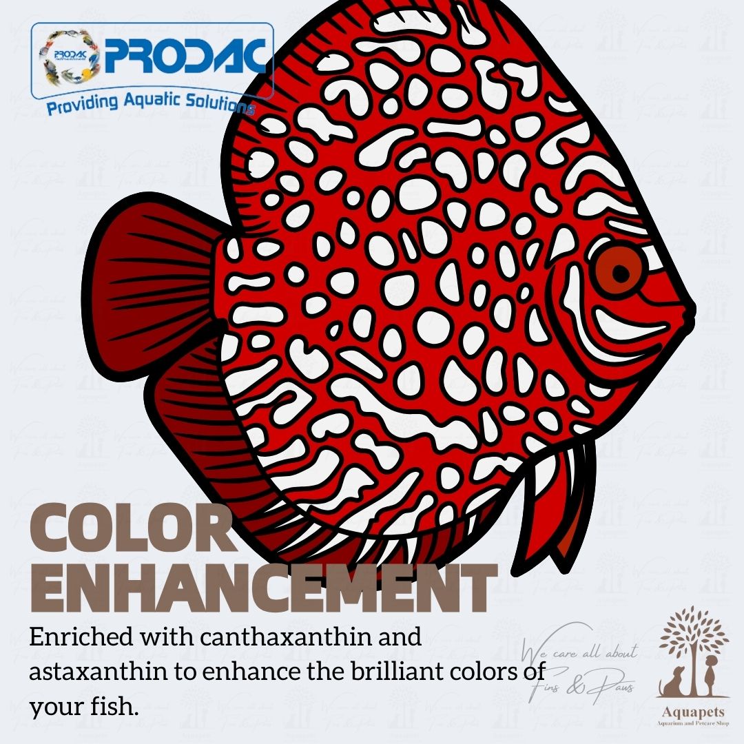 PRODAC Pro Bits + Canthaxanthin -1200mL (500g) Discus Fish Food Makanan ...