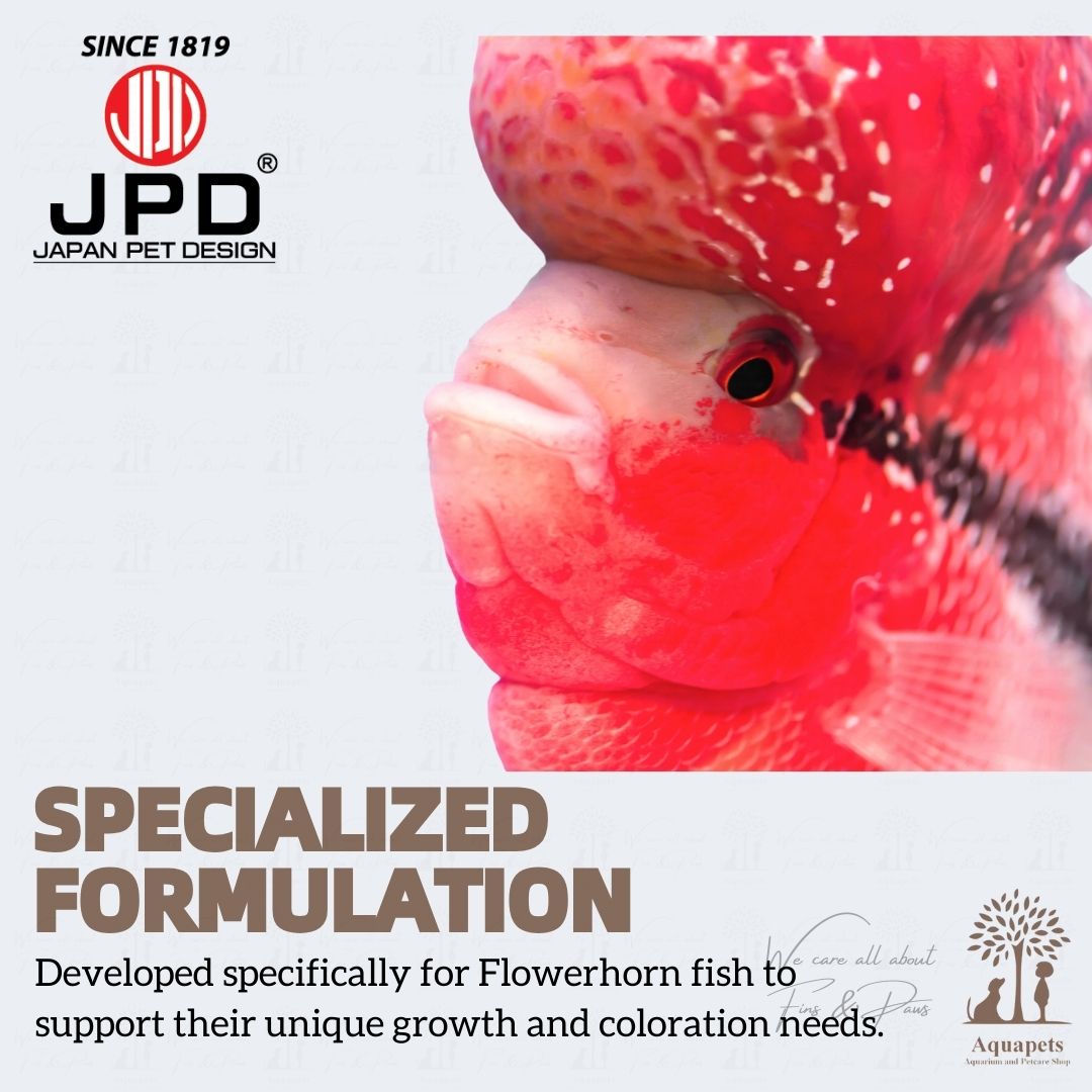 JPD Kangun FlowerHorn Fish Food 100g / 500g Pellet Makanan Ikan ...