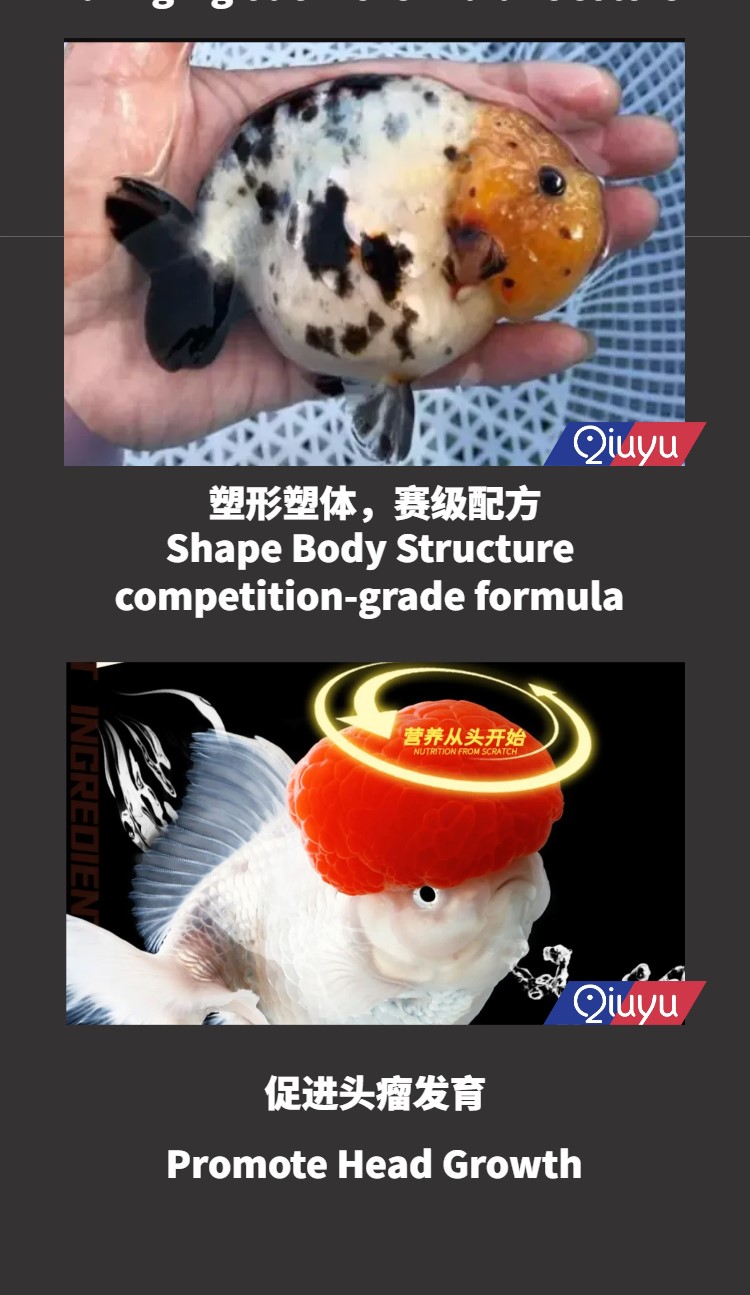 Qiuyu Gold Fish Food/Oranda Food/Ranchu Food | Shopee Malaysia