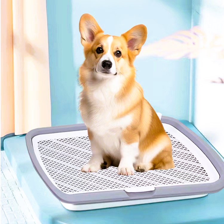 Large Dog Toilet Tray Big 7cm Height Pet Urine Tray Rabbit Puppy ...