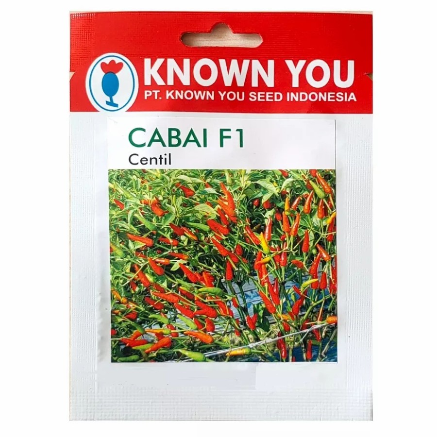 KNOWN YOU SEED - BIJI BENIH CILI CENTIL | Shopee Malaysia