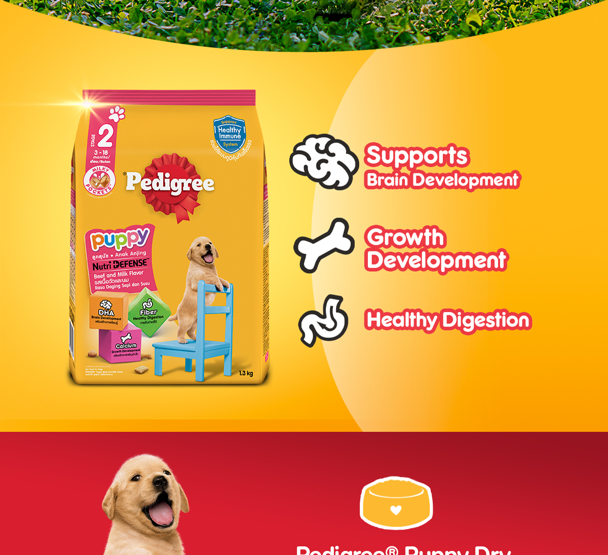 Puppy Chicken Egg Pedigree Puppy Food Age 👙 PEDIGREE NutriDefense Dry ...