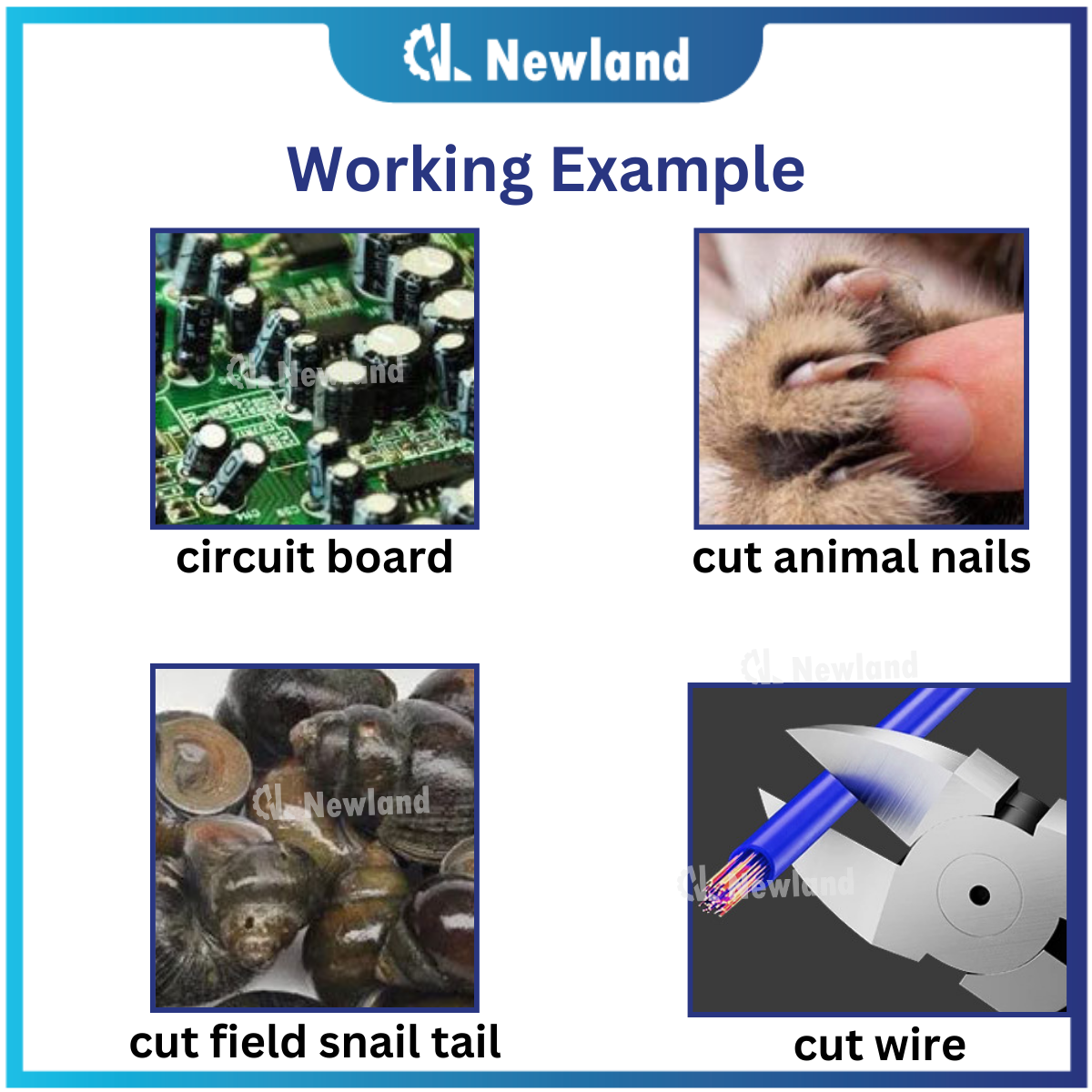 Cutting Plier / Cutter Plier Heavy Duty / Player Cutter - 6 inch ...