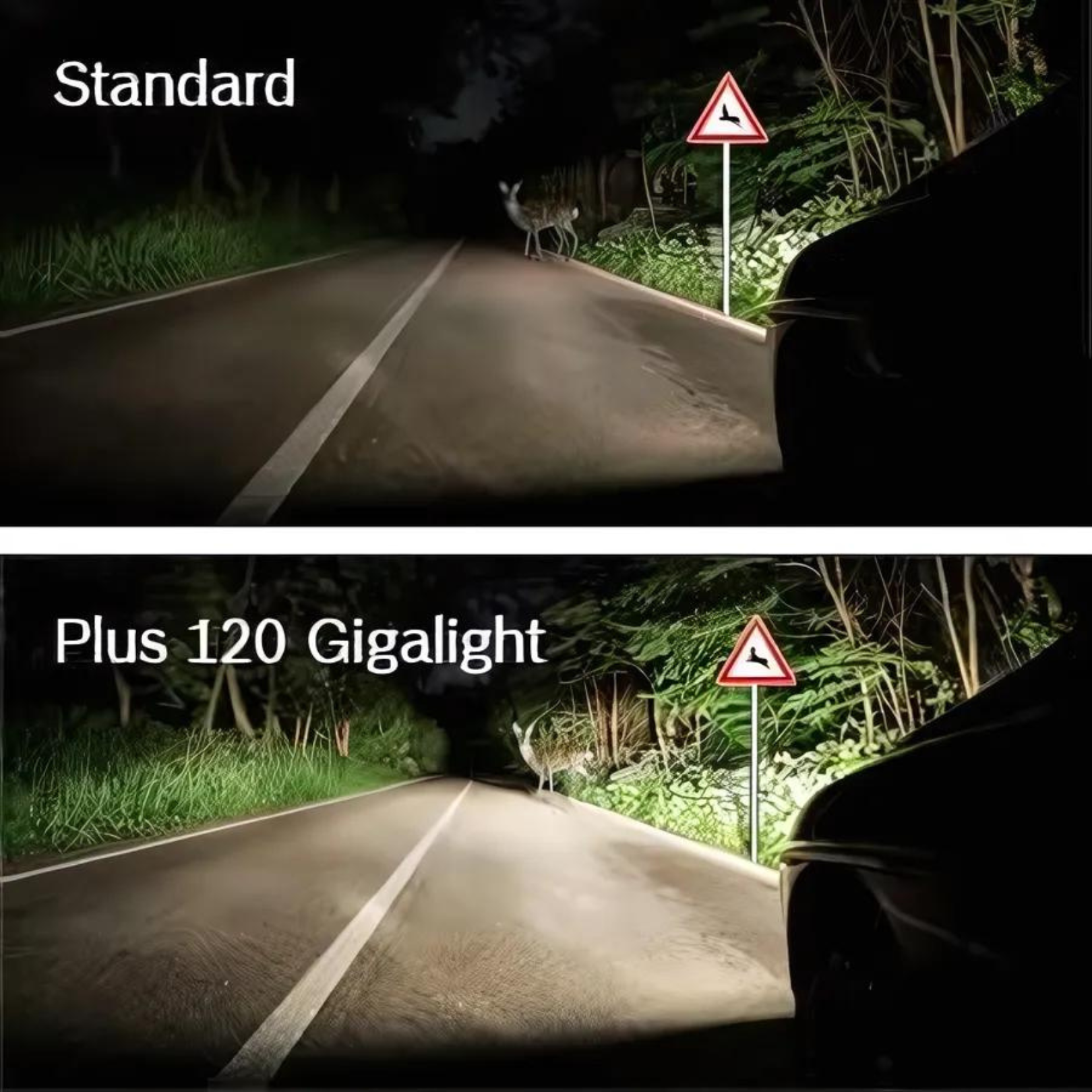 Repco® Bosch Gigalight Plus 120 (3400K) H7 Headlight Bulb Set (2pcs ...