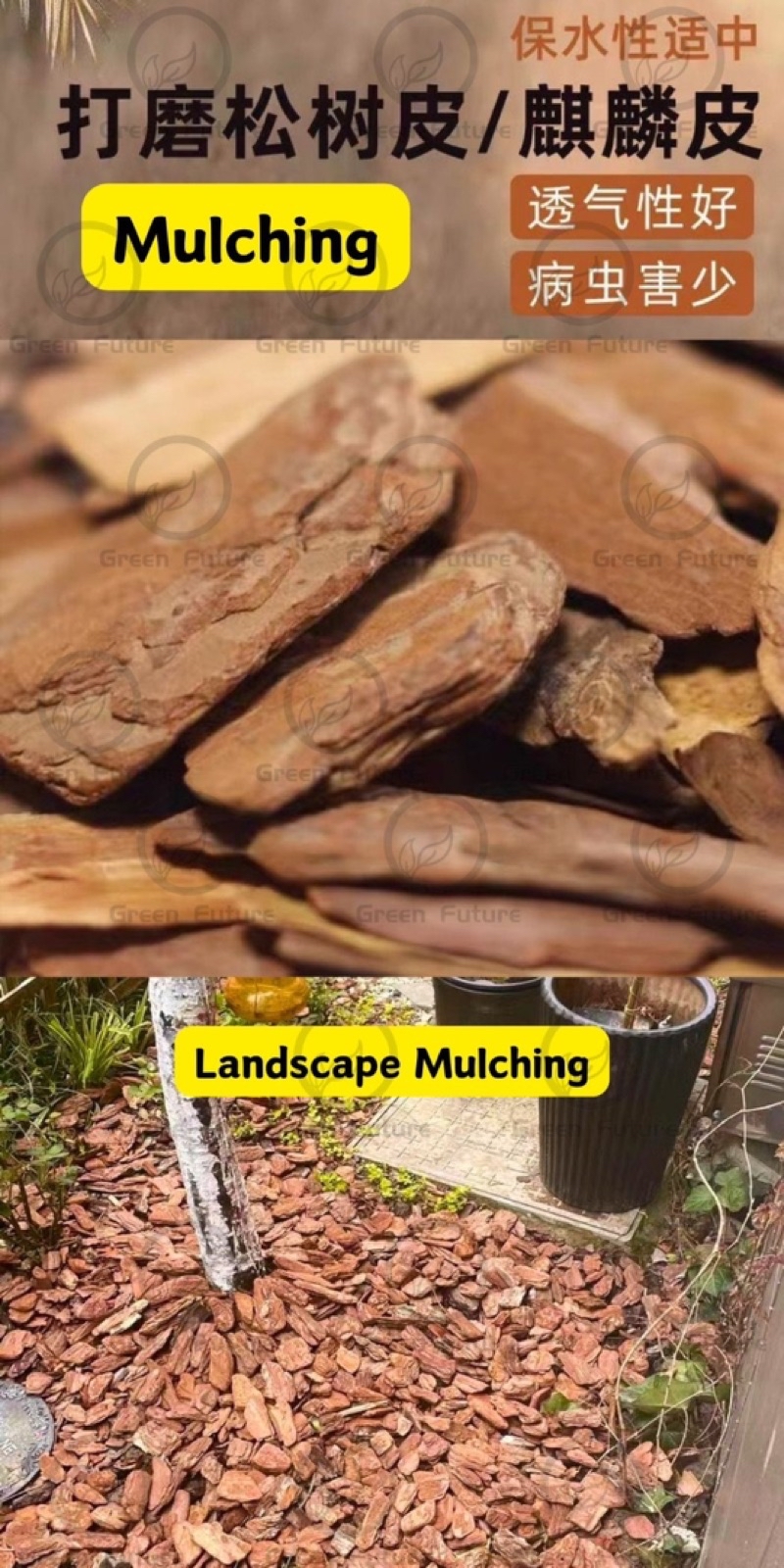 1 KG L size PINE BARK/ Pine scale Orchid potting Pine Bark MURCH ...