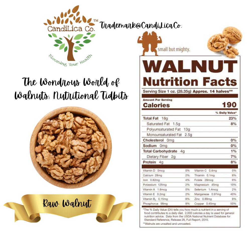 Raw Walnuts (Unroasted) | Kacang Walnut Mentah | 生核桃仁 – CandiLica Co ...