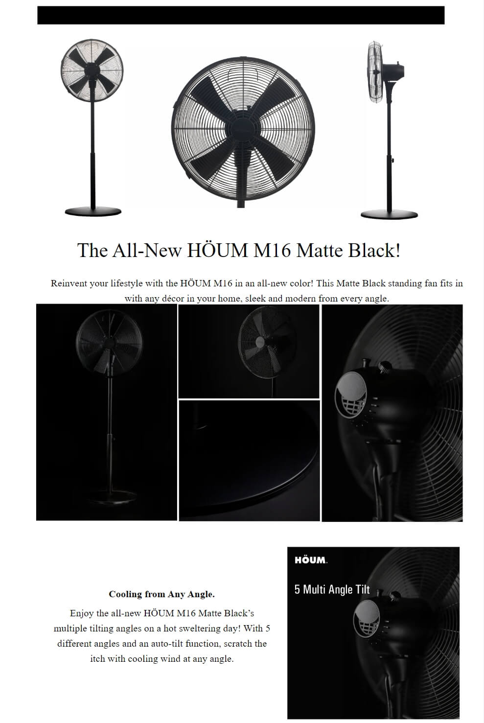 Houm M16 MATTE BLACK Stand Fan 16" Matte Black | Shopee Malaysia