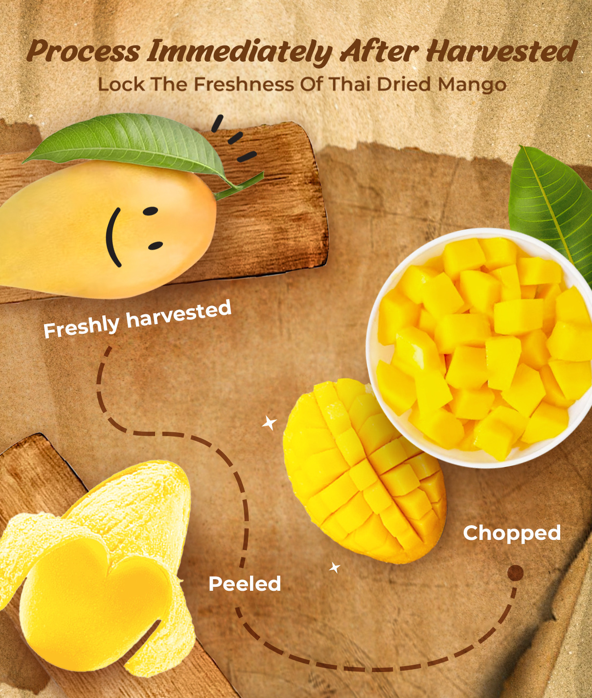 Signature Market Thai Dried Mango Pocket Packs (25g x 8 sachets ...