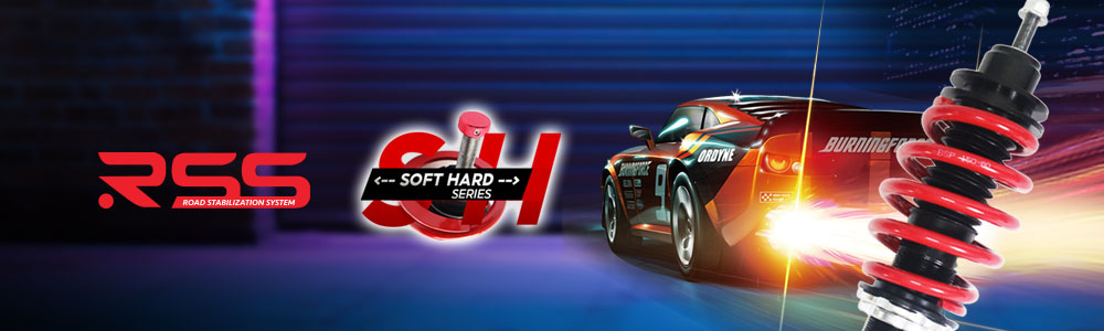 RSS Model Z Adjustable Suspension High Low Soft Hard Bodyshift for ...