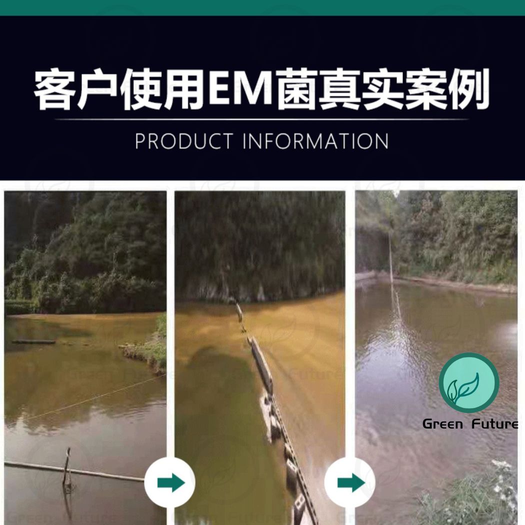 EM 菌 EM Powder Effective microorganism - Powdery (EM益生菌原种) Em ...