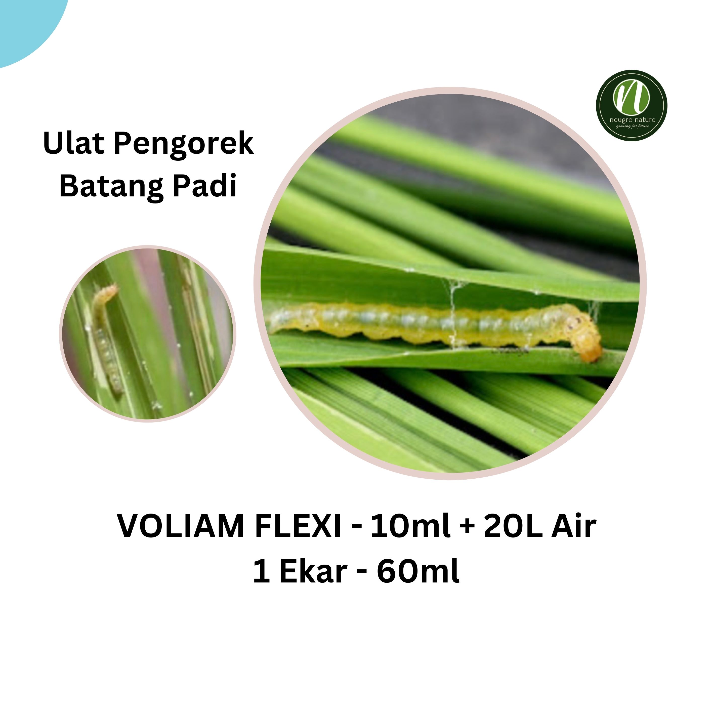 Syngenta VOLIAM FLEXI SC 500ml Insecticide - Kawal Ulat Pengorek Batang ...