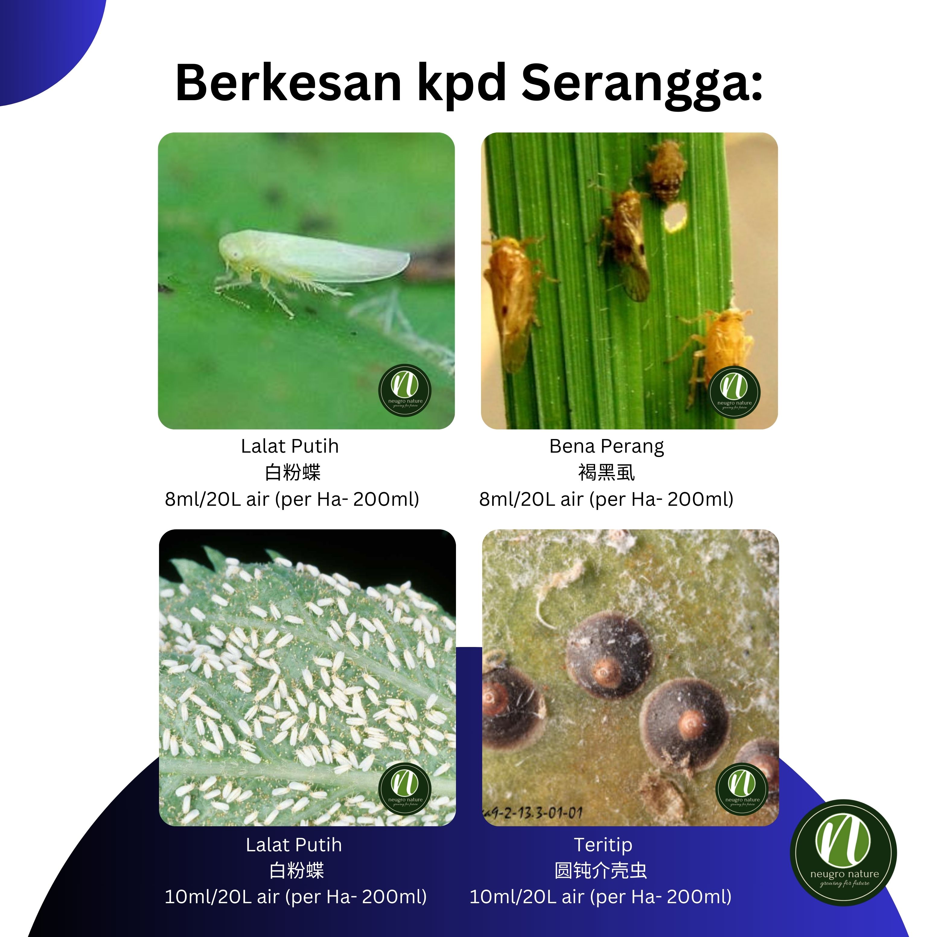 AZATIN 46.3SC (500ml) Buprofezin 46.3% - Racun Serangga Bena Perang ...