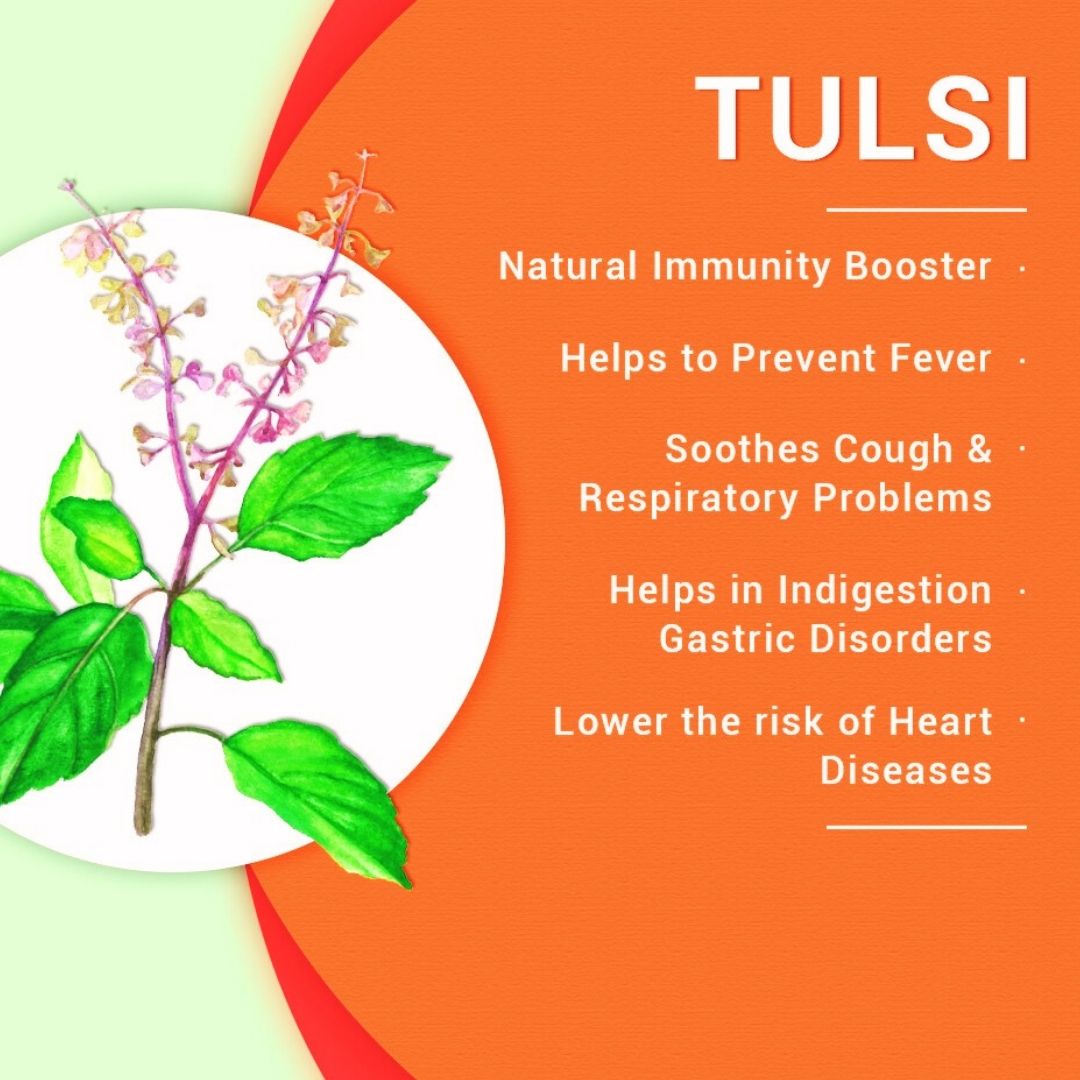 100% PURE NATURAL TULSI (TULASI, HOLY BASIL) LEAVES POWDER 90 GMS ...