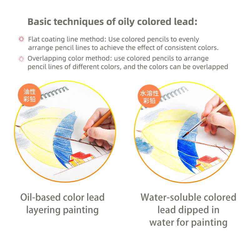 Deli Signature Oil Colour Pencil Pensel Warna School Ergonomic Shape ...