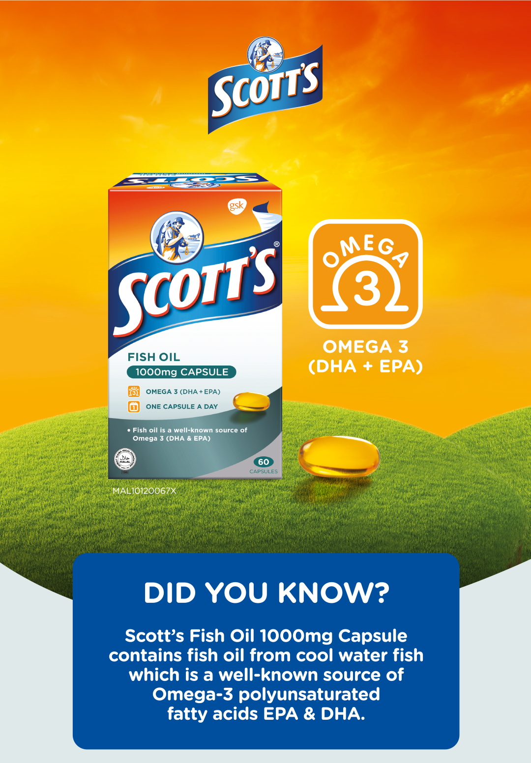 Scott's Fish Oil Capsules with Vitamin A & D for Health Supplement ...