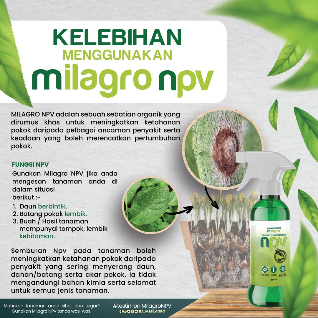 MATADO - Racun Serangga Perosak Organik Spray Tanaman Pokok Bunga Bena ...