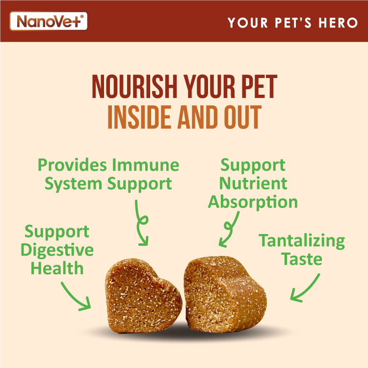 Nanovet Pet Probiotic Chews For Cat and Dog | Shopee Malaysia