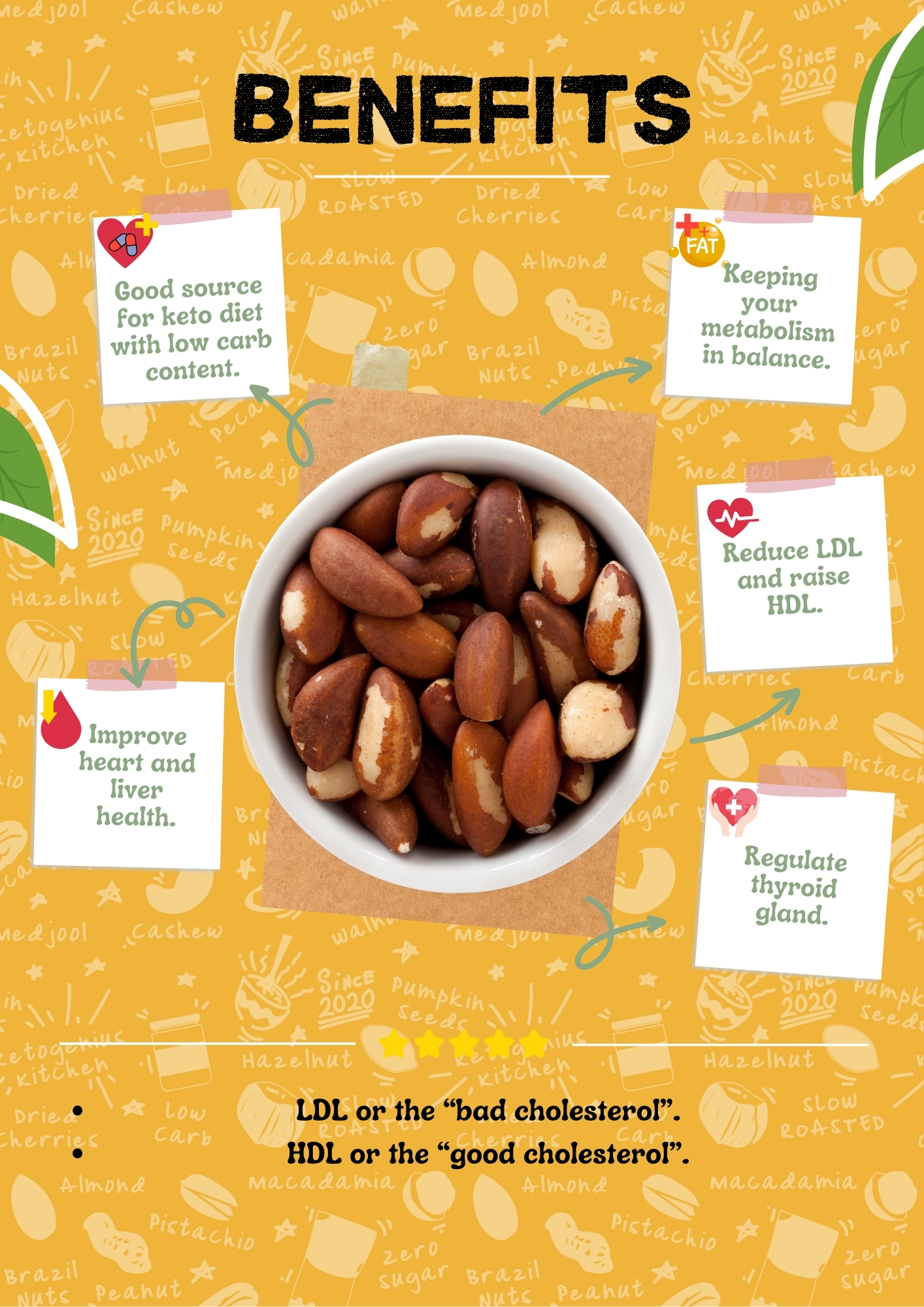 Ketogenius Kitchen Slow Roasted Unsalted Brazil Nuts (110g/250g/500g) - Healthy, Roasted Upon ...