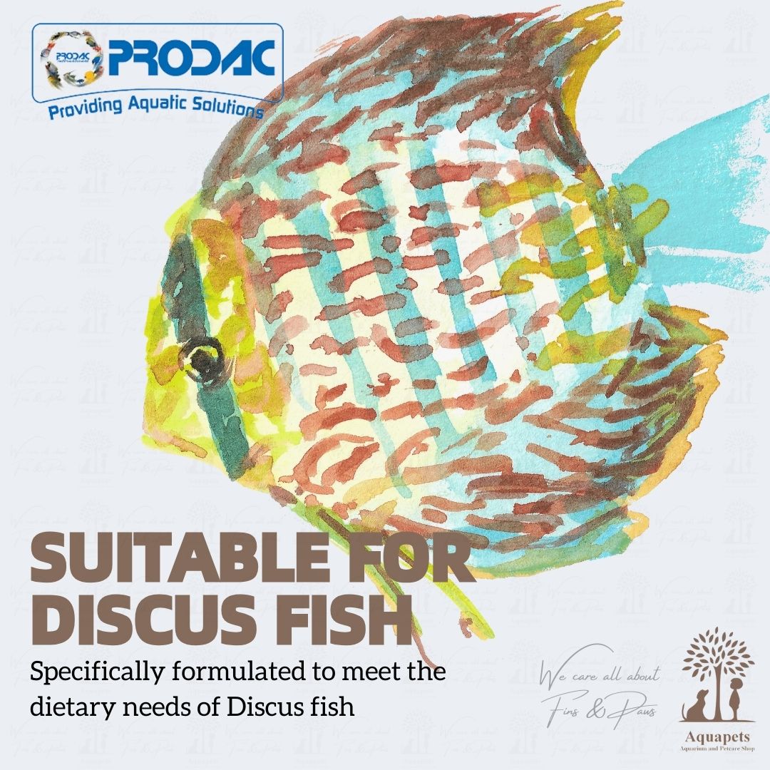 PRODAC Pro Bits + Canthaxanthin -1200mL (500g) Discus Fish Food Makanan ...