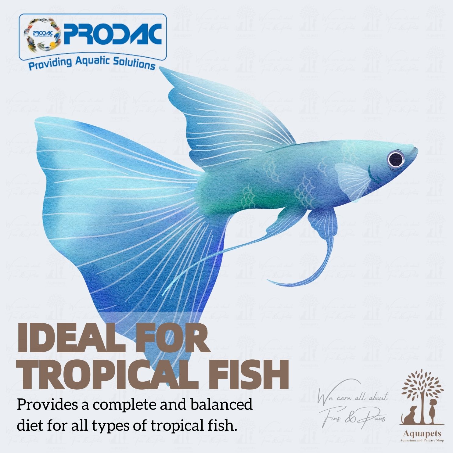 PRODAC Tropical Fish Flakes 250mL (50g) Tropical Fish Food Makana Ikan ...