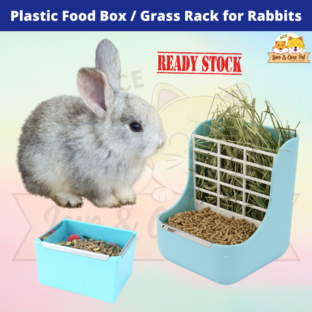 (New Arrival) Small Pet Plastic Food Bowl / Grass Rack / Hay Tray ...