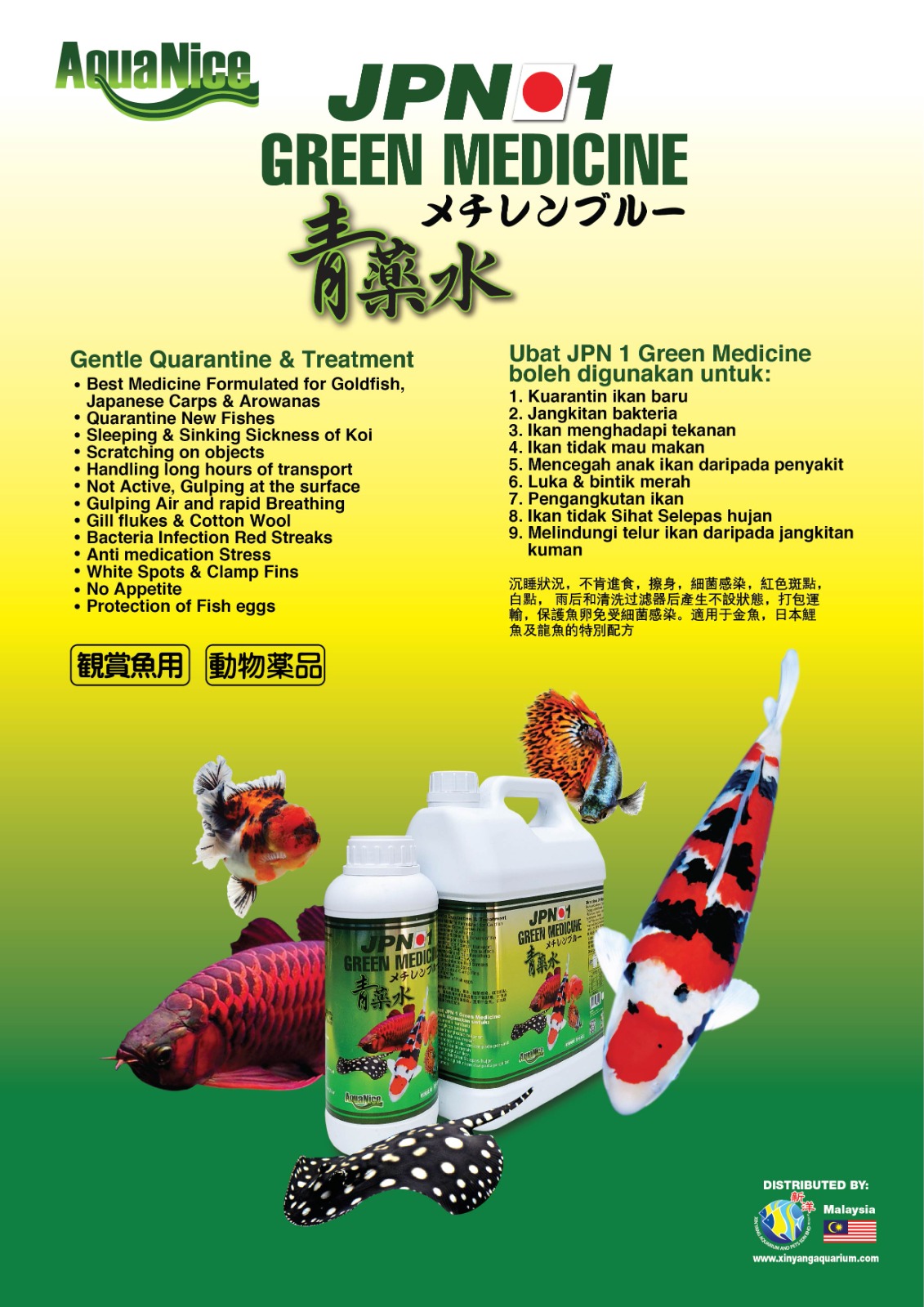 JPN 1 Green Medicine / Anti Bacteria / Medicine for Koi and Goldfish / Ubat Ikan Fish Medication ...