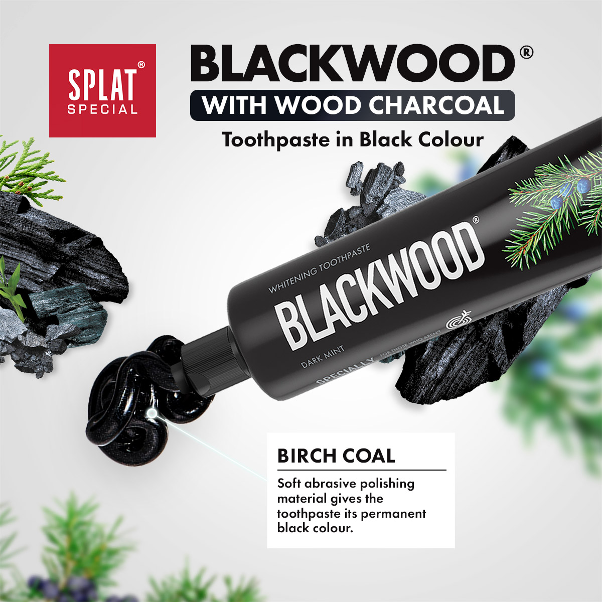 SPLAT Special Blackwood Charcoal Toothpaste, For Sensitive teeth, Fresh ...