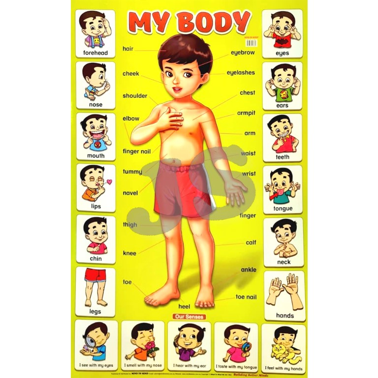 POSTER EDUCATIONAL CARTA ABC,NUMBER,ANIMALS,FRUIT,VEGETABLES,TIME TABLE ...